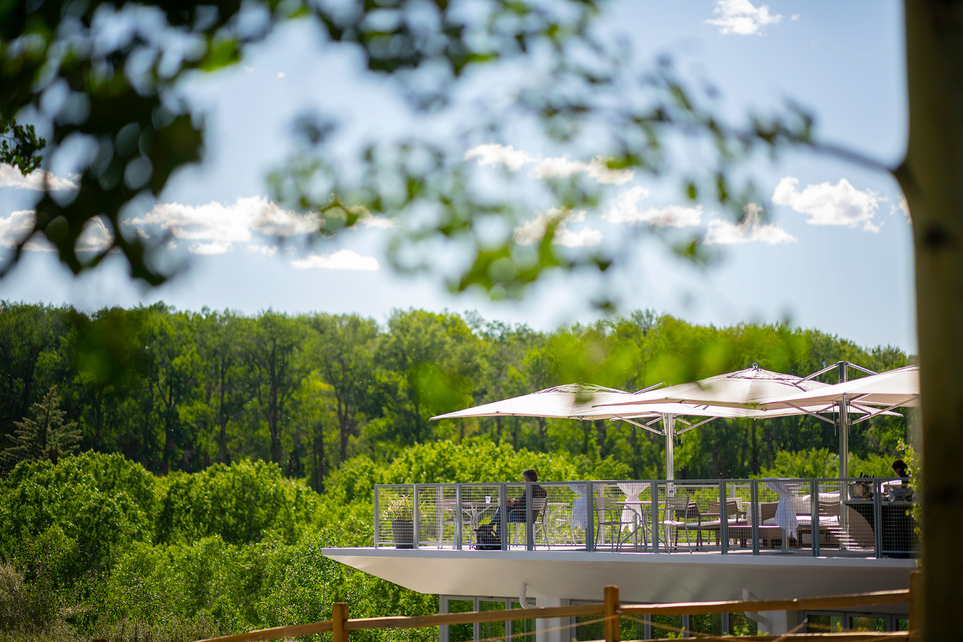 Take a Tour | Welcome | Aspen Hotels | Official Site | Aspen Meadows Resort